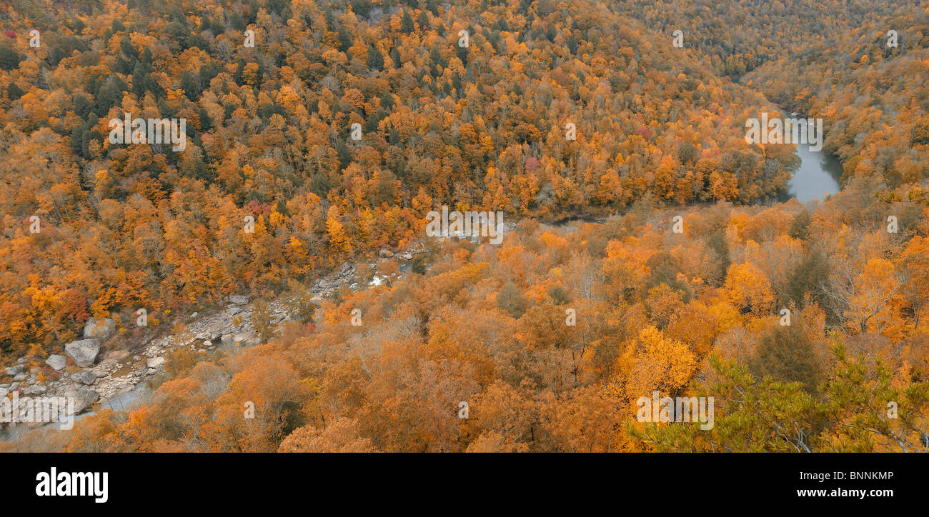 Trail Angel Falls Forest Fall colours colors Big South Fork National ...