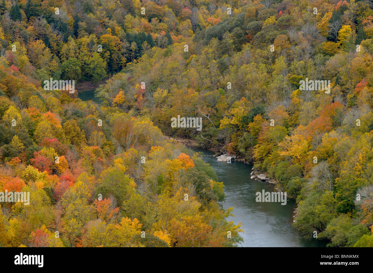 Angel falls trail hi-res stock photography and images - Alamy