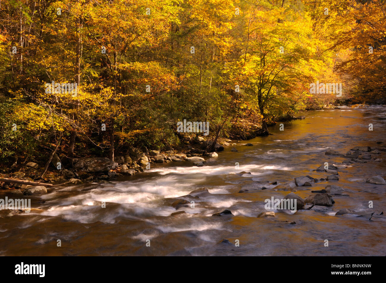 Little River Great Smoky Mountains National Park Tennessee USA America ...