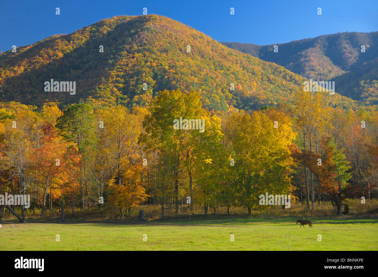 Cades Cove Fall colours colors Great Smoky Mountains National Park ...