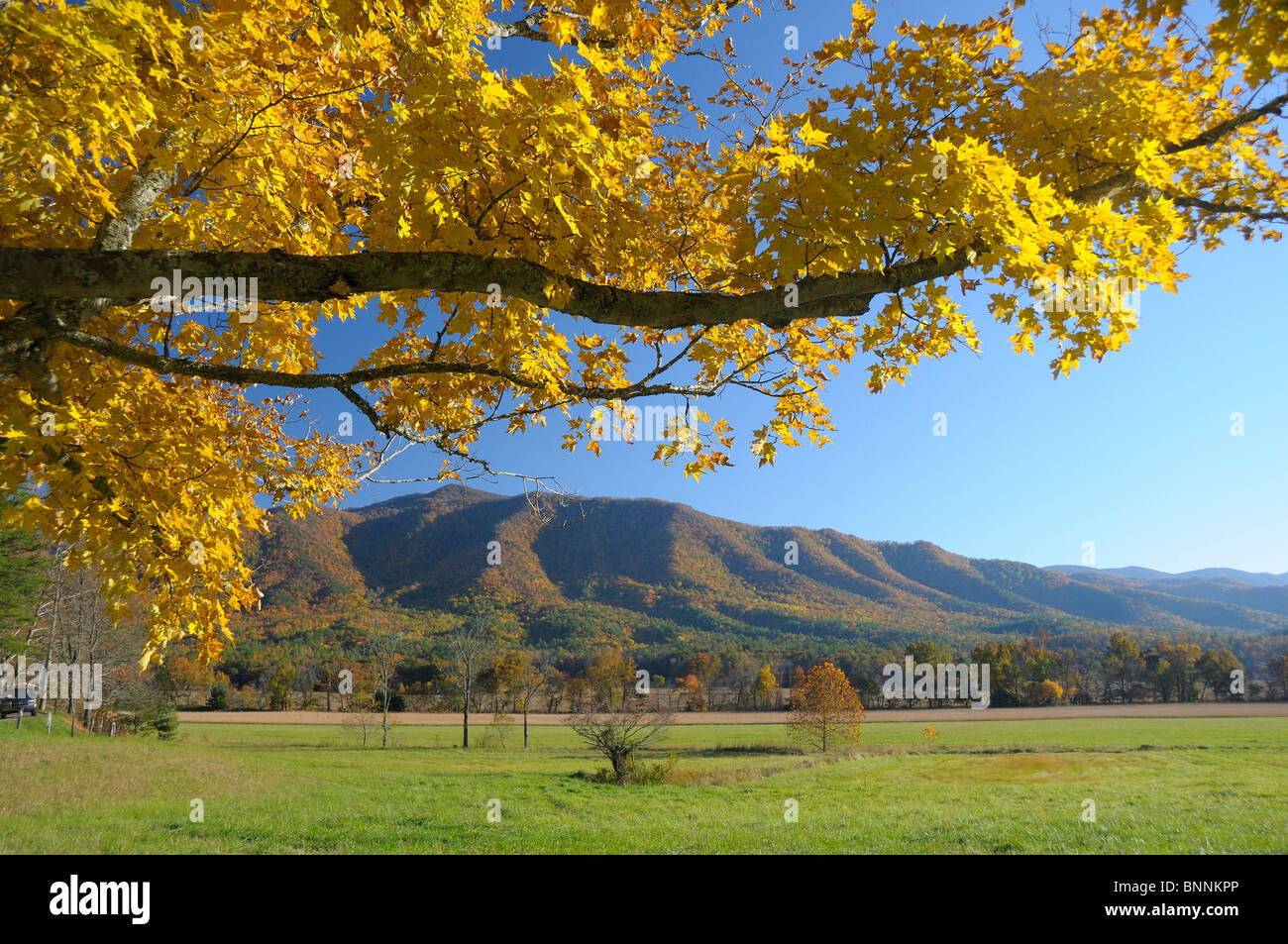 Meadow Cades Cove Fall colours colors Great Smoky Mountains landscape ...