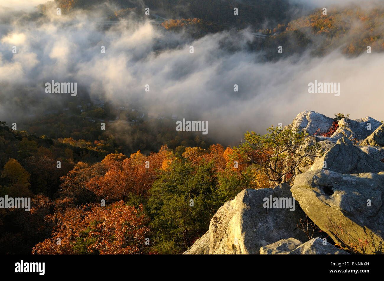 Pinnacle Overlook Fog Cumberland Gap National Historic Park Cumberland ...