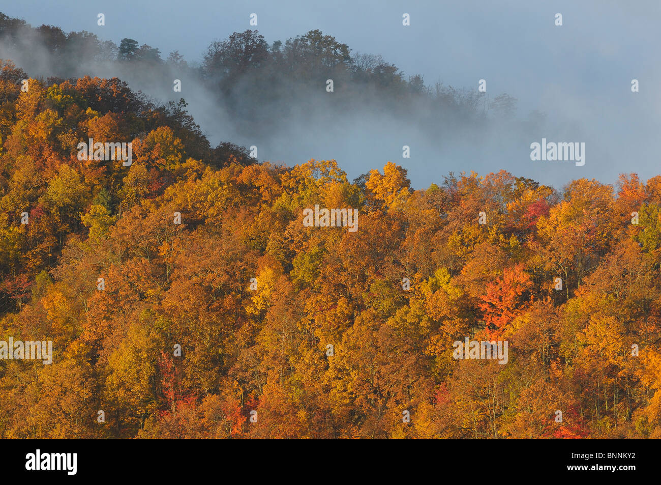 Pinnacle Overlook Fog Cumberland Gap National Historic Park Cumberland ...