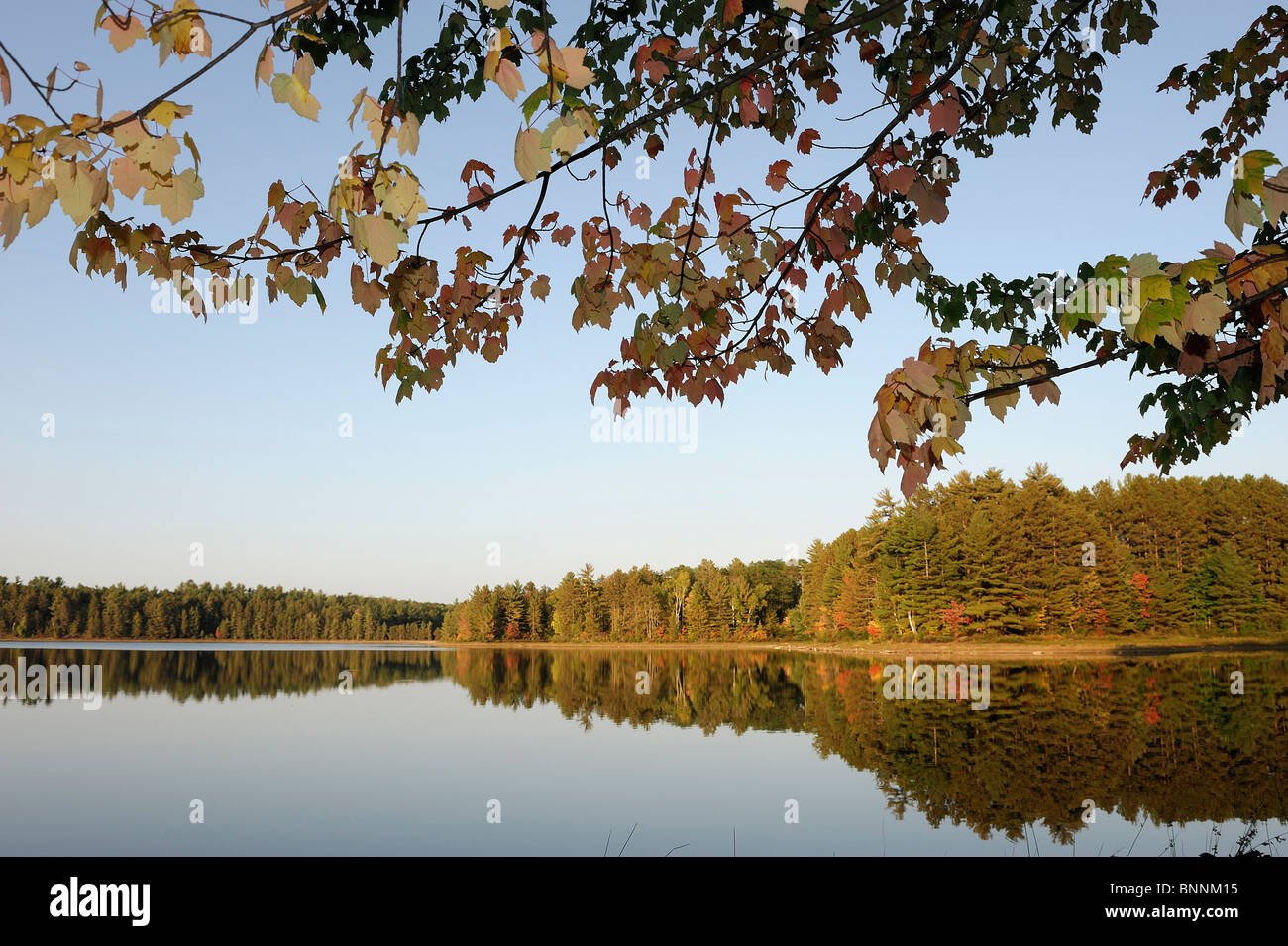 Starrett Lake Northern Highland American Legion State Forest Wisconsin ...
