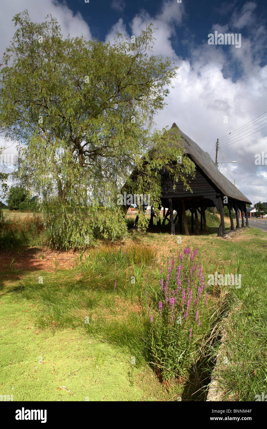 Copford green hi-res stock photography and images - Alamy