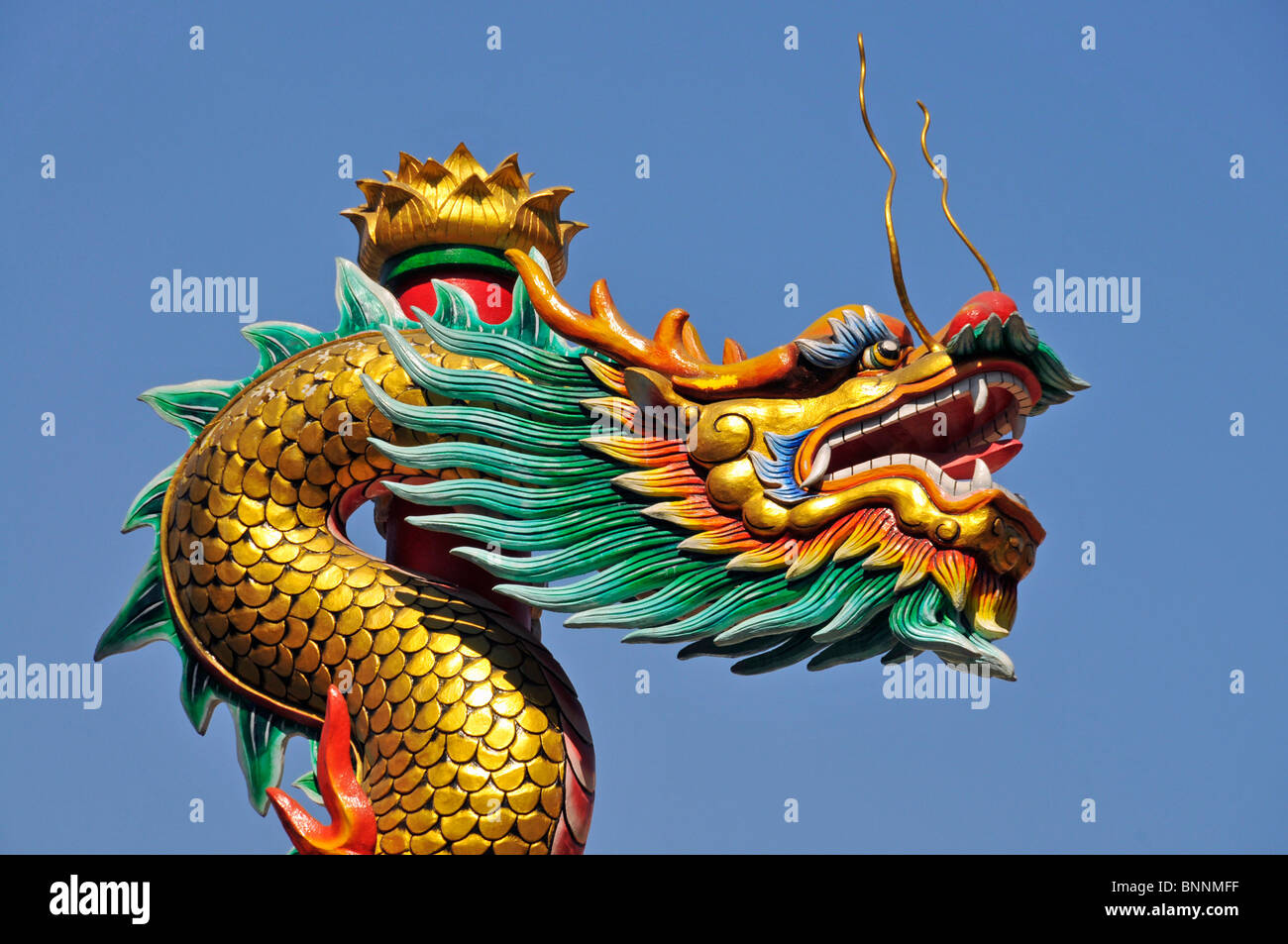 Real Life Chinese Dragon