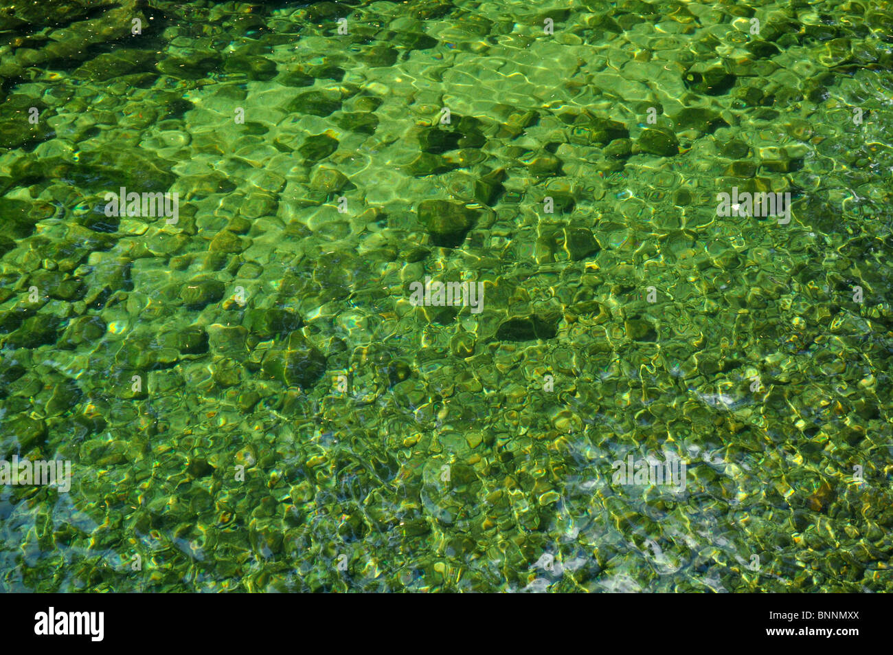 River Flow brook body of water stones waters clearly riverbed Yosemite ...