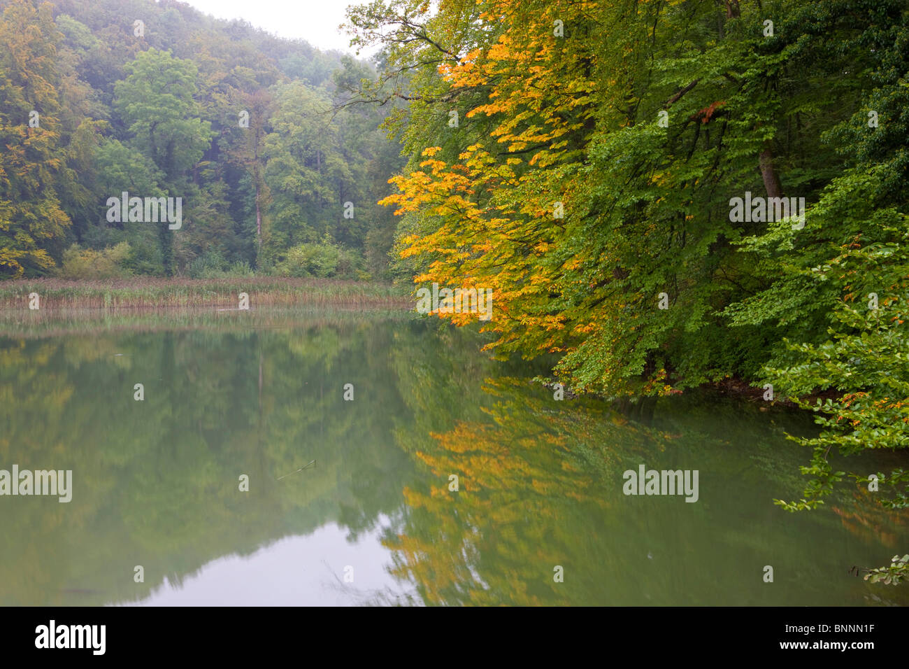 Arlesheim power source esoteric Basel area Baselland hermitage Ermitage ...