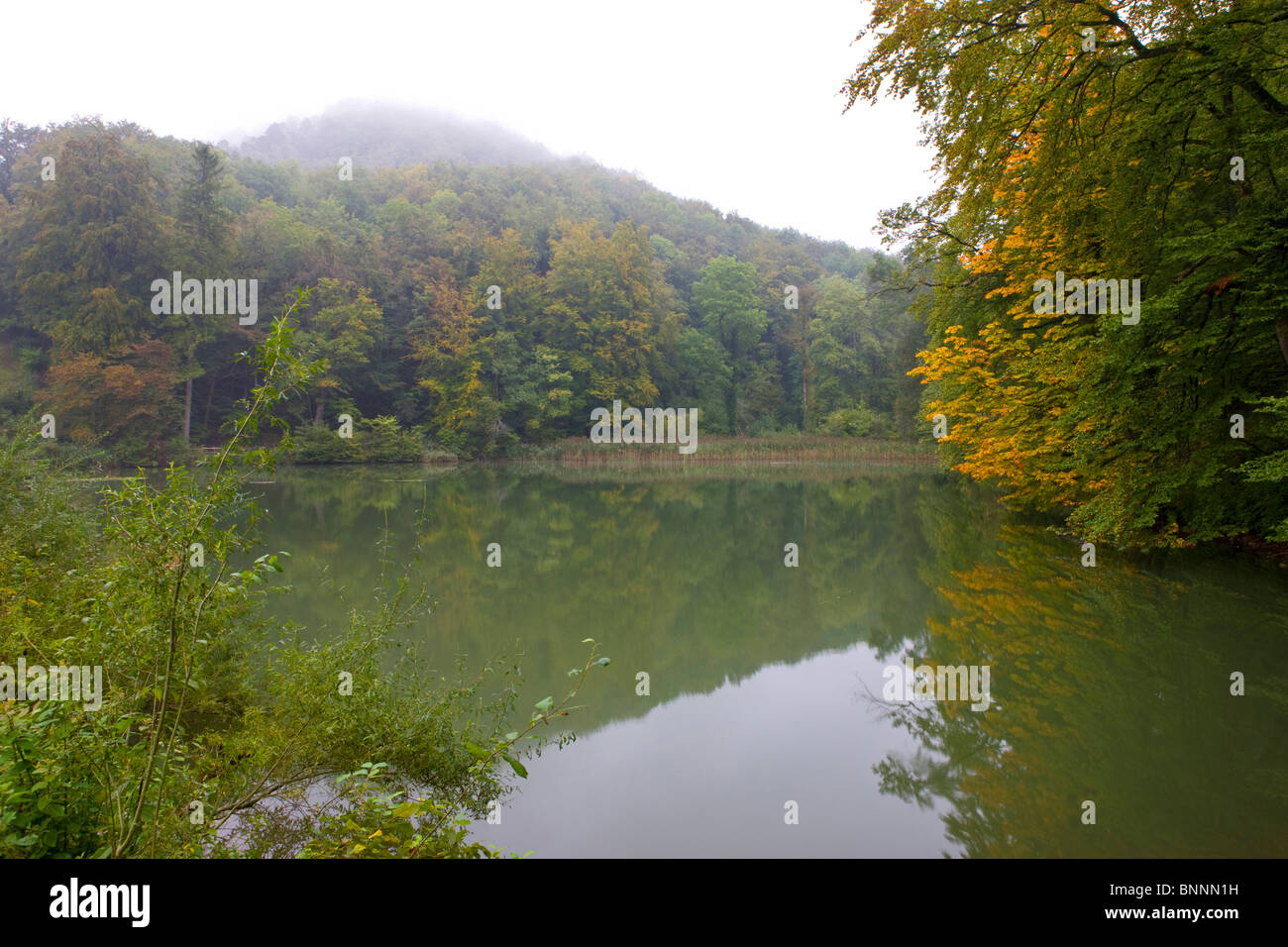 Arlesheim power source esoteric Basel area Baselland hermitage Ermitage ...