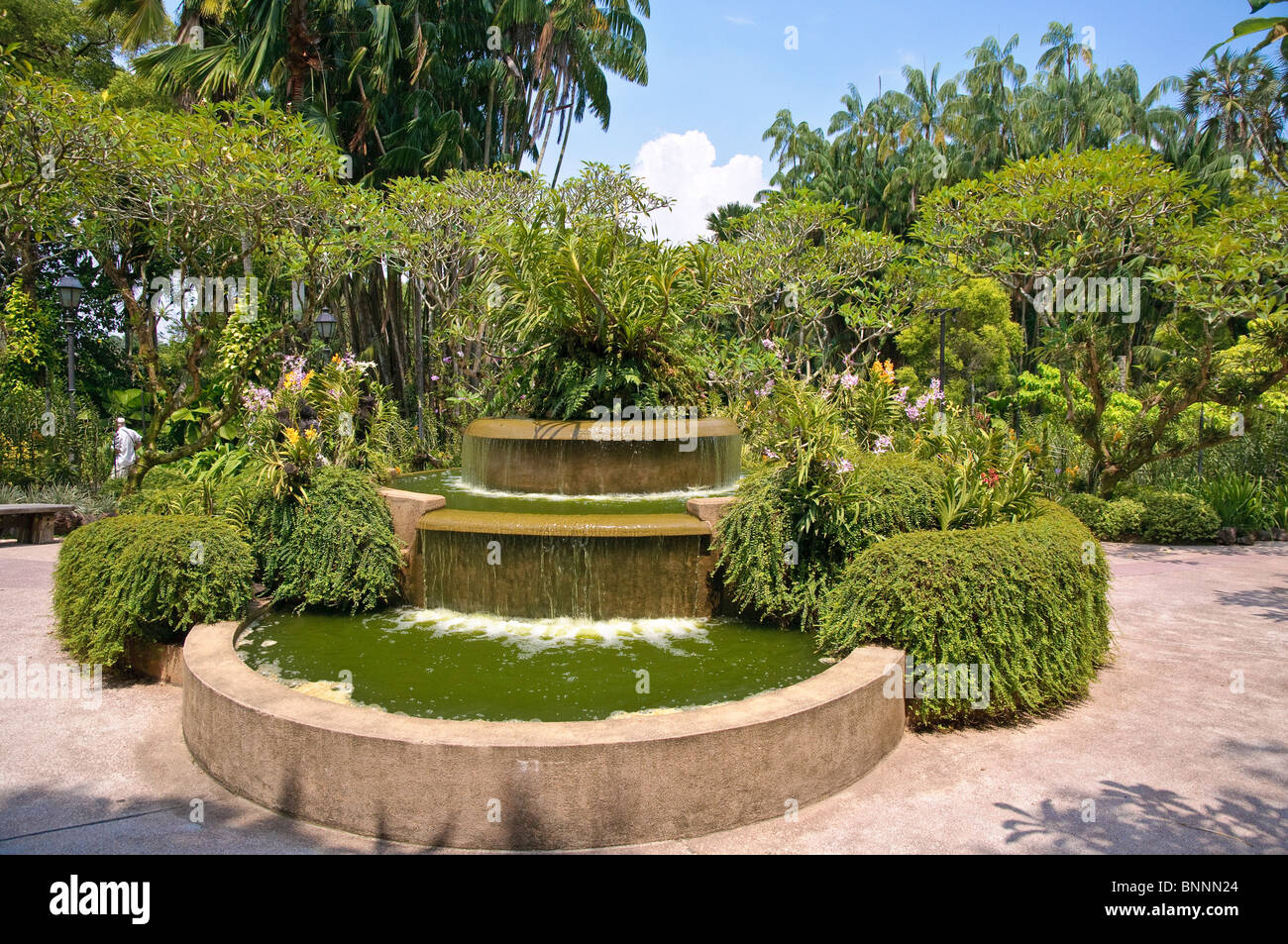 outdoor flowers botany well trees exhibits flora garden body of water ...