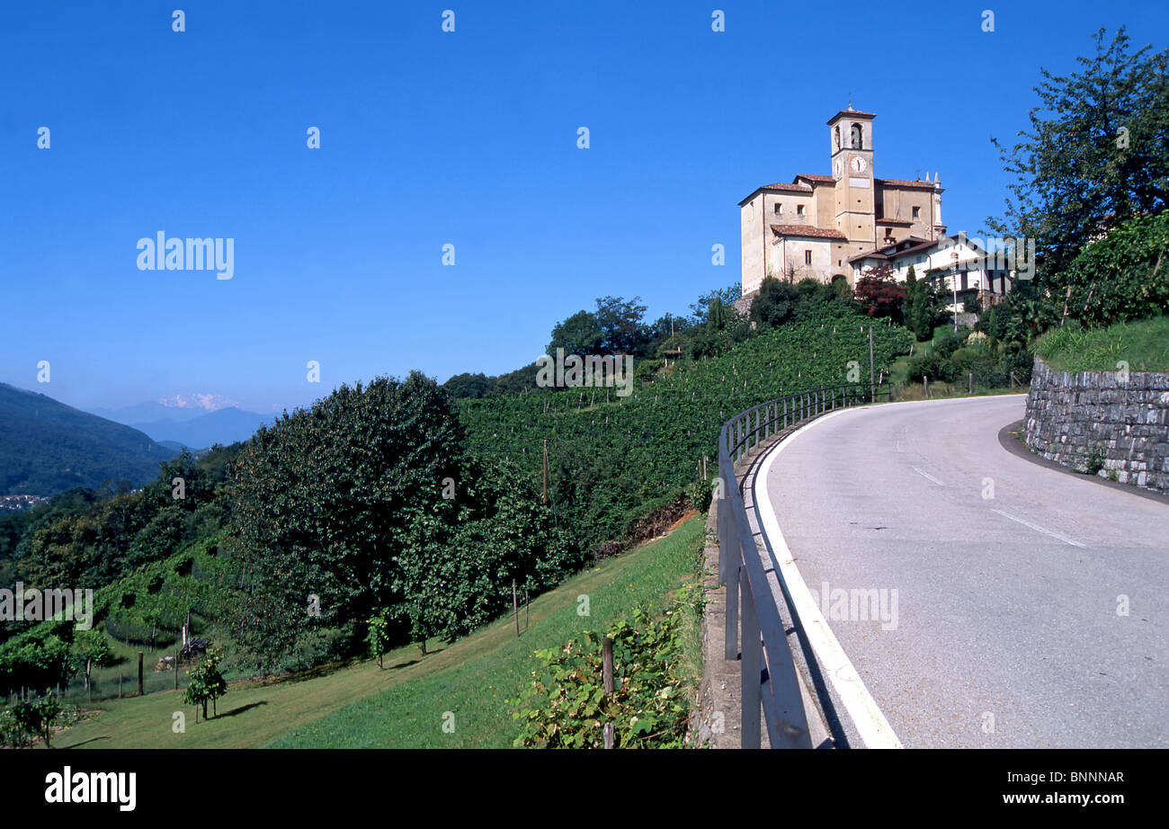 Ticino Ticino Switzerland Malcantone Castelrotto vineyard church Monte ...