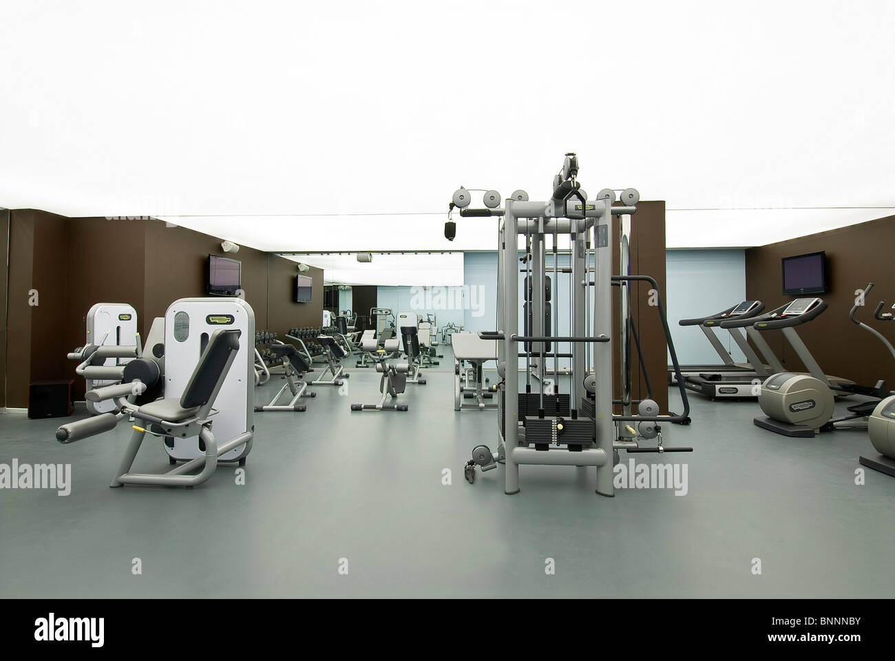 Bodybuilding prime hi-res stock photography and images - Alamy