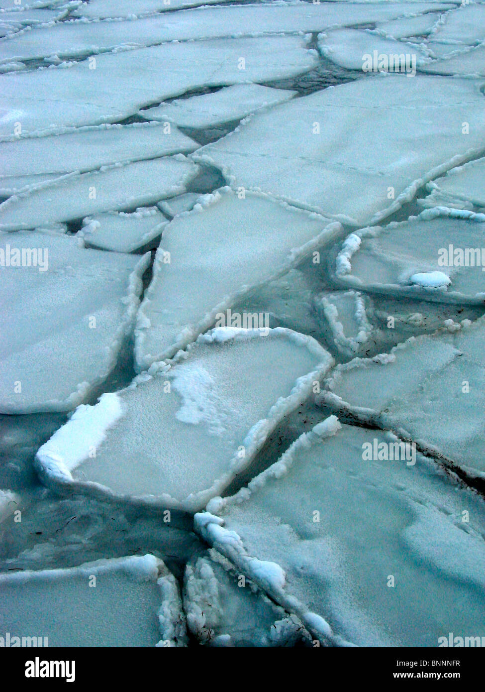 Ice floes Baltic Sea Kiel Germany ice winter Stock Photo - Alamy