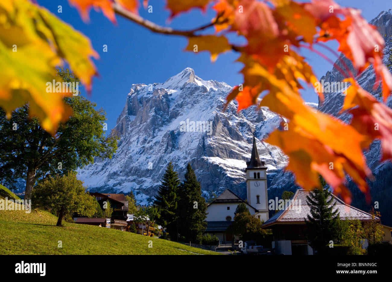 Switzerland swiss autumn color of leaves Grindelwald Bernese Alps ...