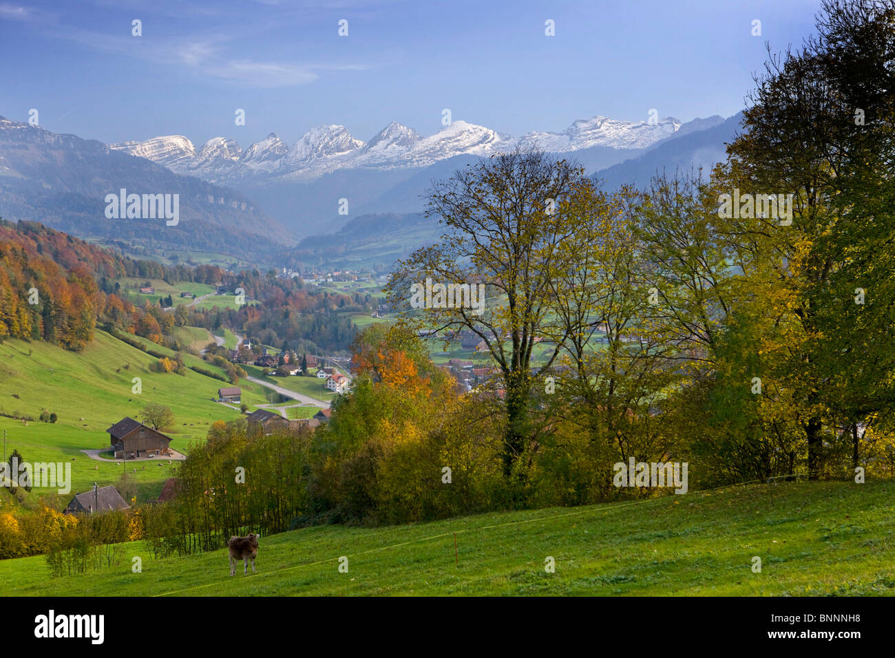 Krummenau SG Toggenburg autumn tree trees scenery agriculture canton St ...