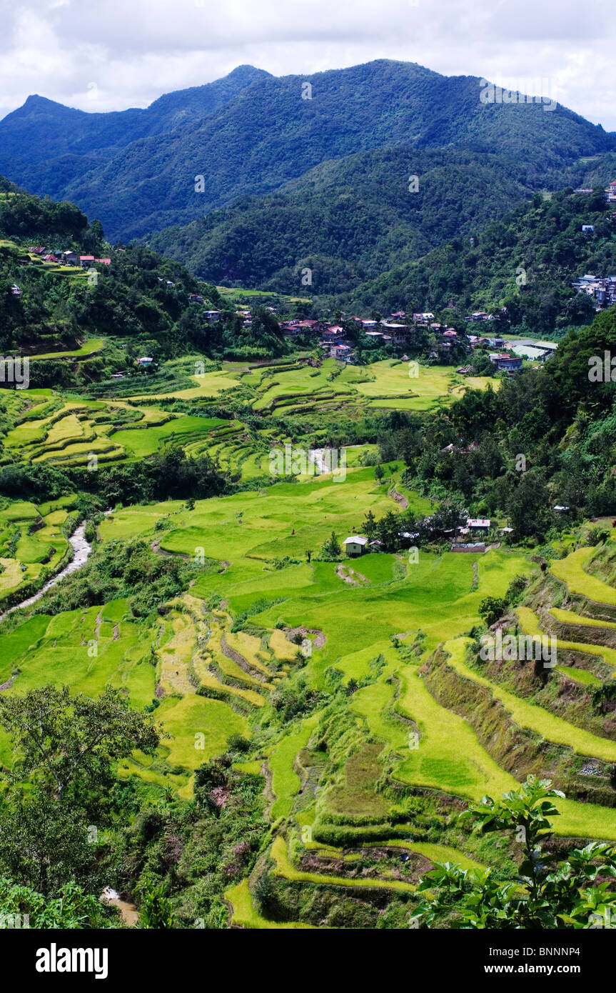 Banaue rice terrace hi-res stock photography and images - Alamy