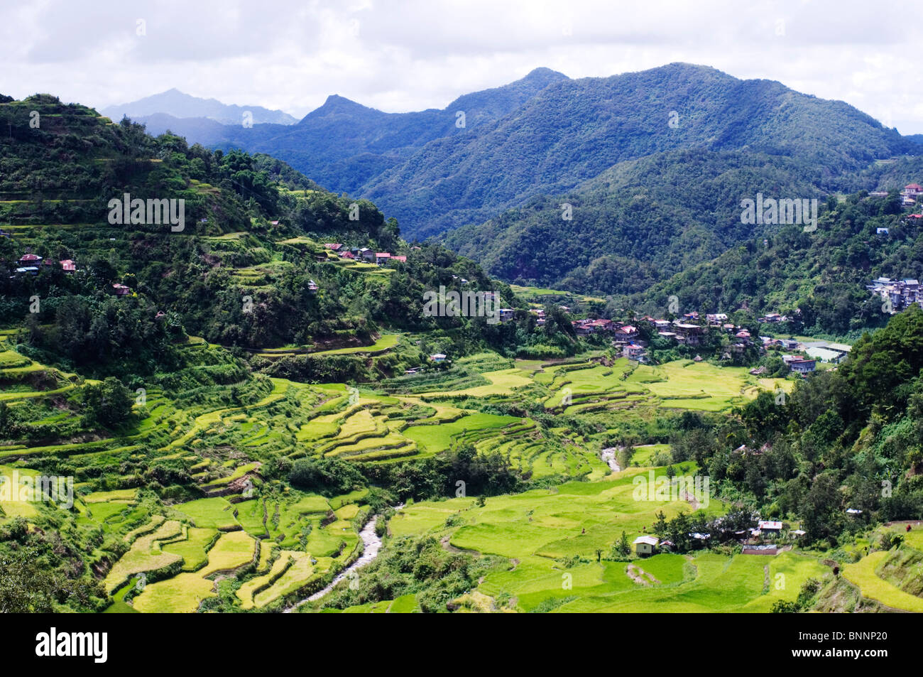 Banaue rice terraces hi-res stock photography and images - Alamy