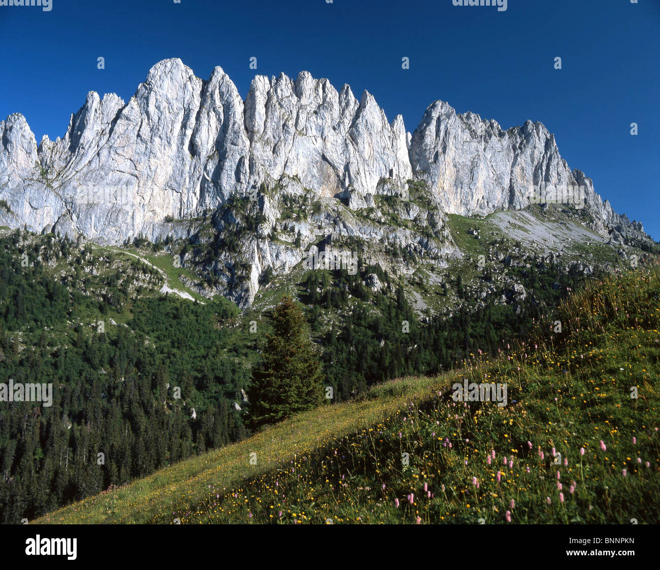 Sharp range hi-res stock photography and images - Alamy