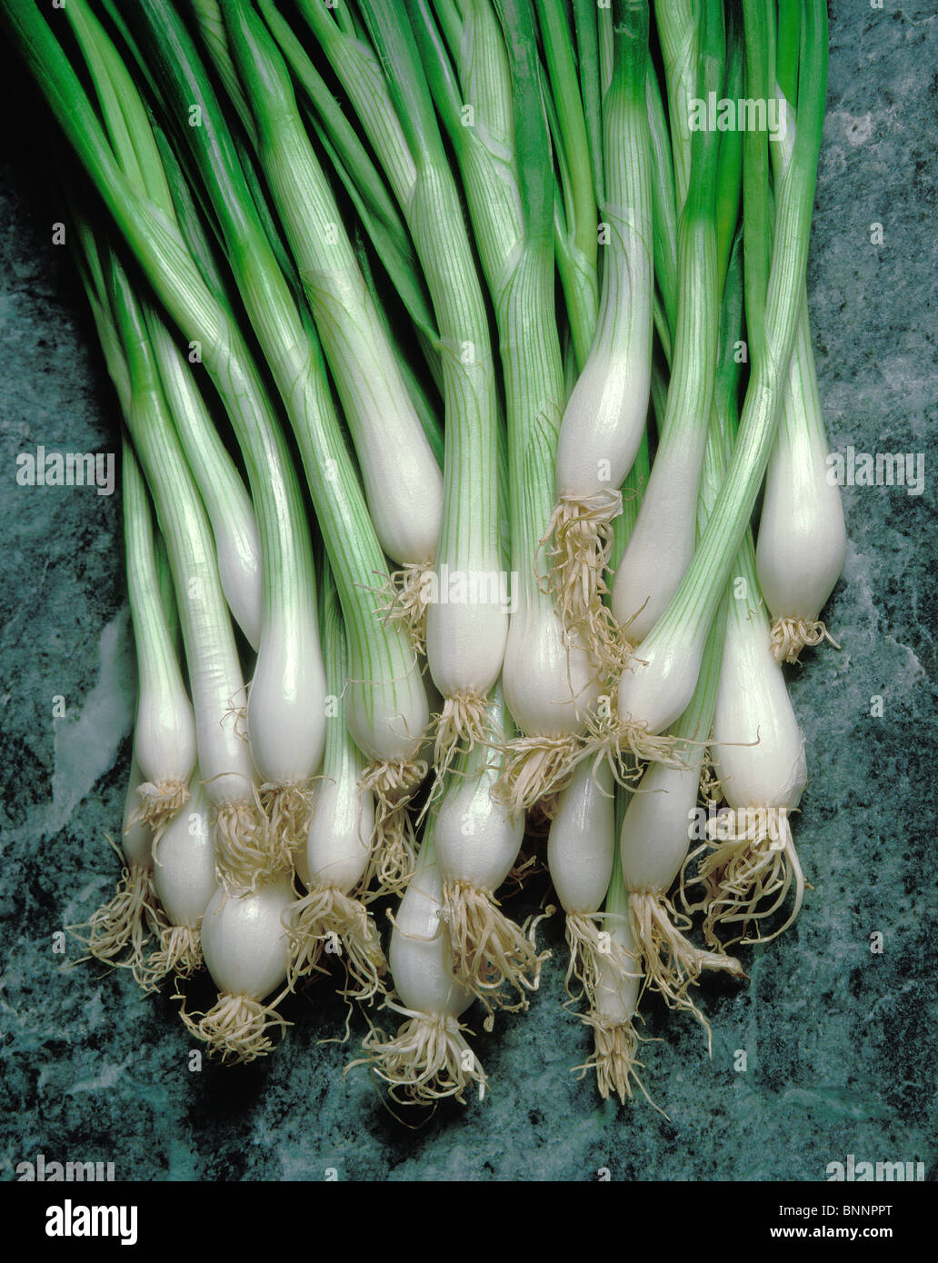 Scally onions hi-res stock photography and images - Alamy