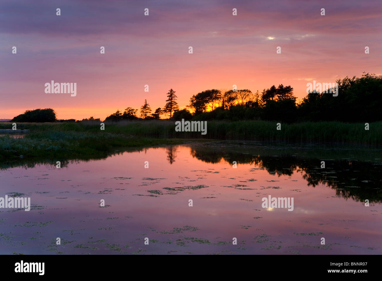 Urehoved Denmark island isle Aero coast wood forest marsh scenery lake ...