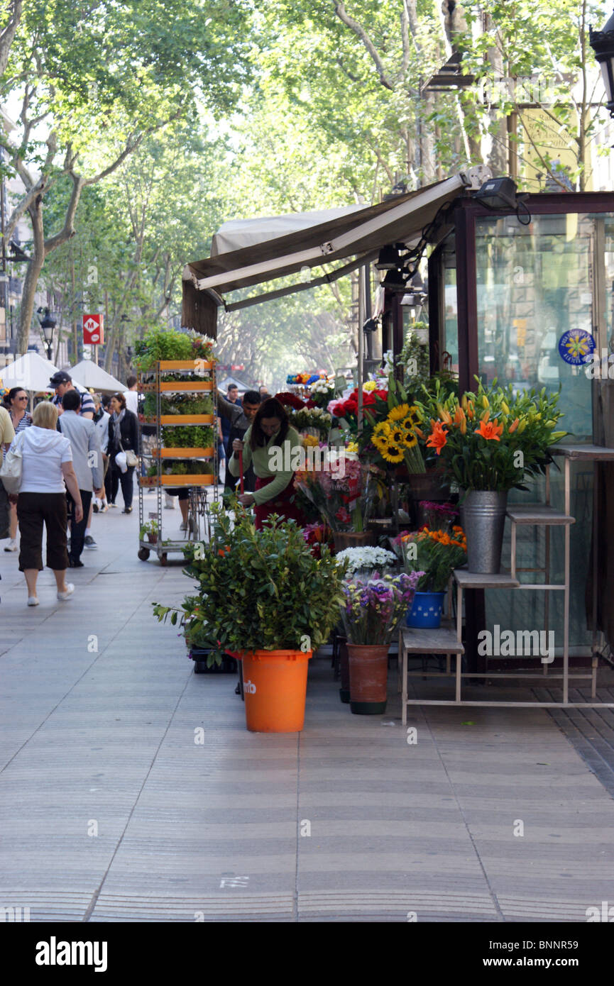 LAS RAMBLAS BARCELONA FLOWER STALLS SPAIN EUROPE Stock Photo - Alamy