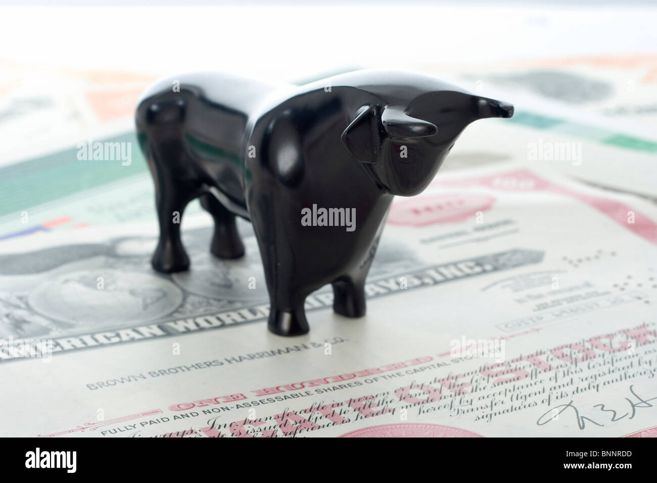 Bull bull hi-res stock photography and images - Alamy