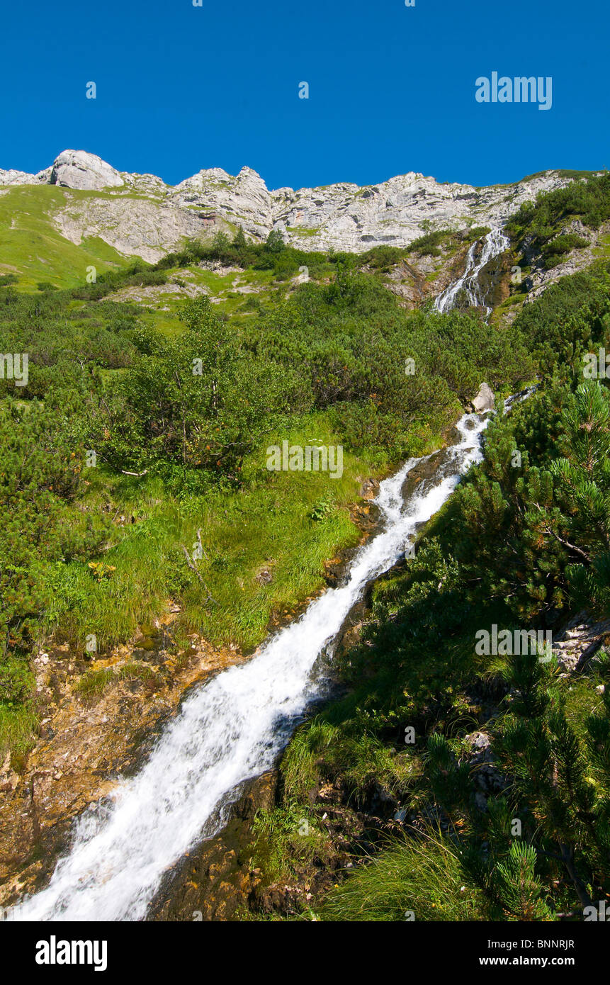 Allgaeu Allgäu Germany brook Hintersteiner valley Bad Hindelang ...