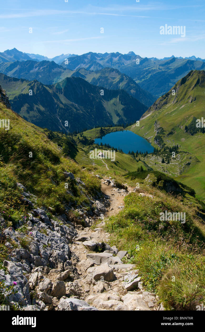 Allgaeu Allgäu Germany lake Alp alpine lake run wild boar corner way ...