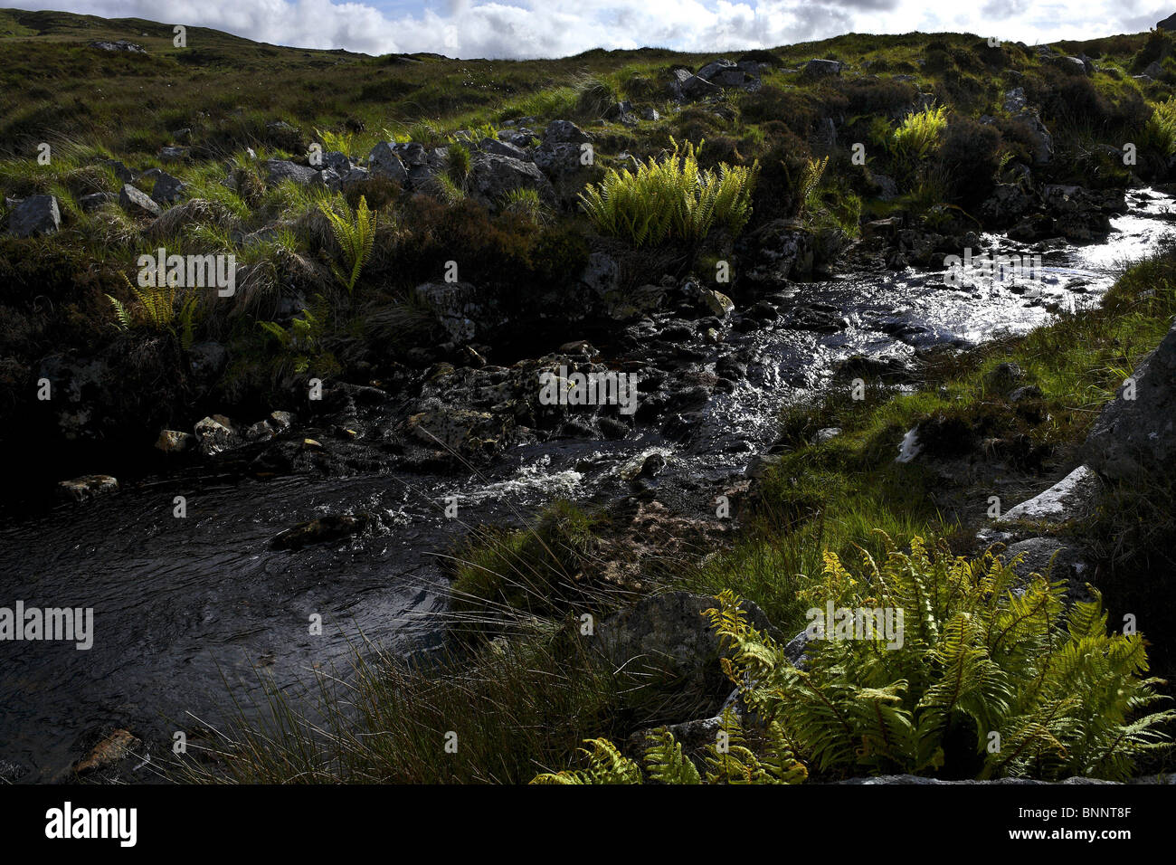 Stream body of water photos hi-res stock photography and images - Alamy