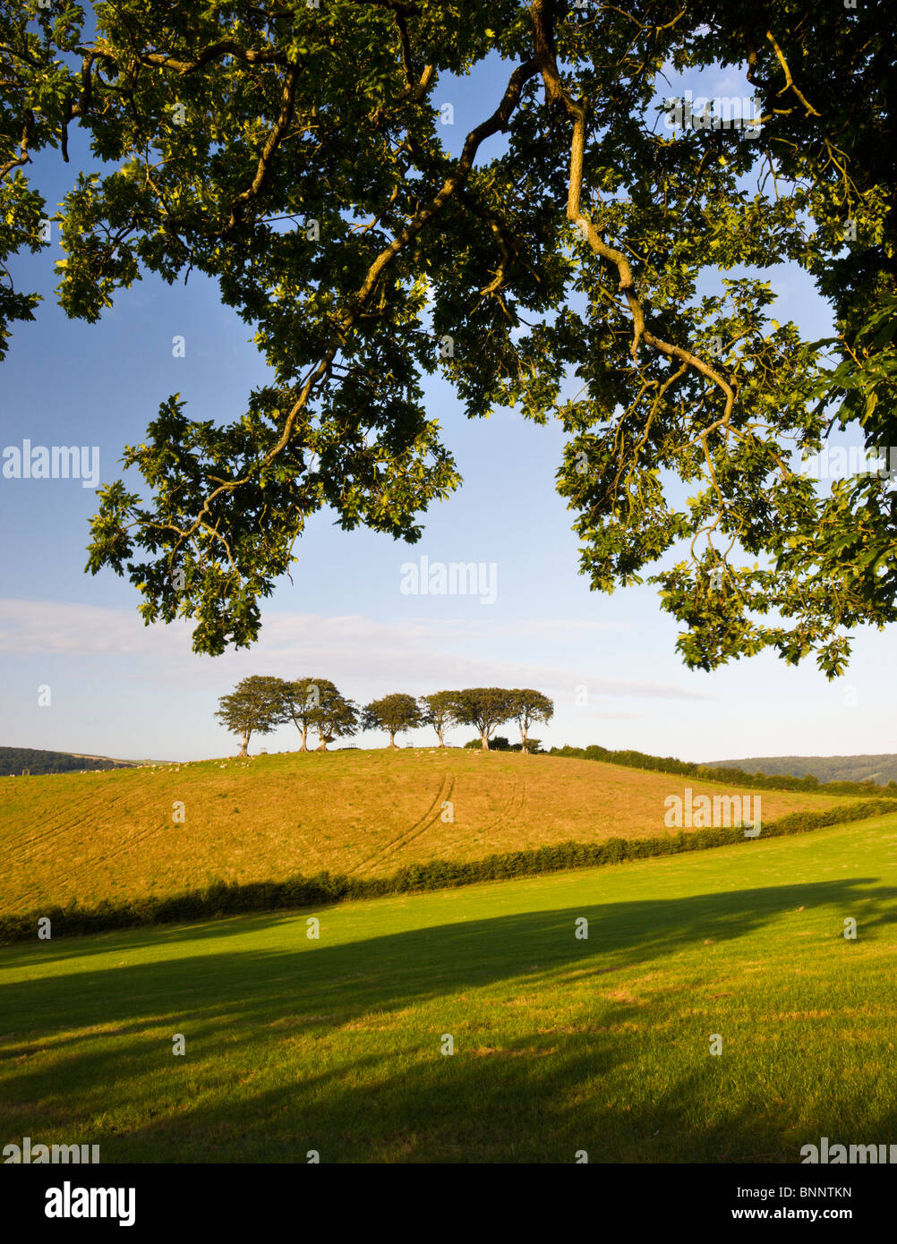Summertime Exmoor countryside scenes between the villages of Horner and ...