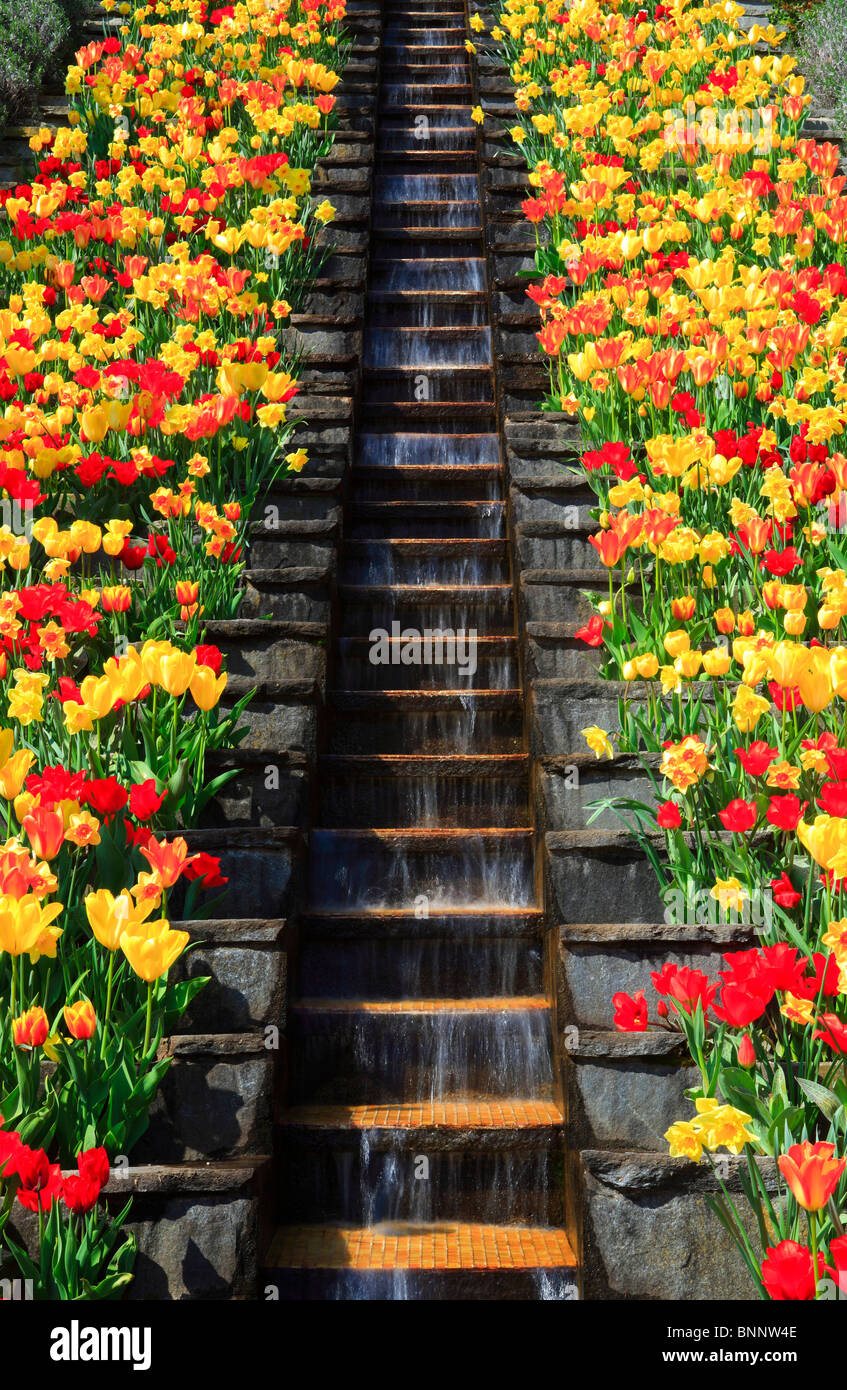 Flowers blossom flourish flower splendour Germany field freshness ...