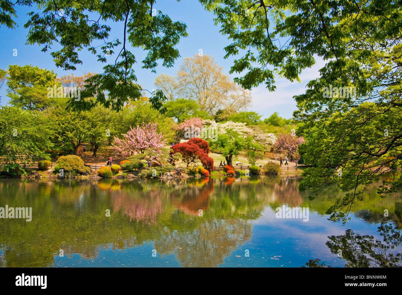 Japan Asia Far East Tokyo Shinjuku Gyoen park lake traveling tourism ...