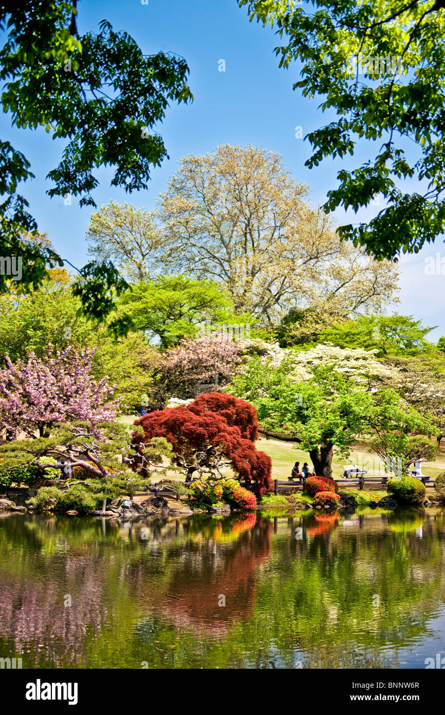 Japan Asia Far East Tokyo Shinjuku Gyoen park lake blossoms flourish ...