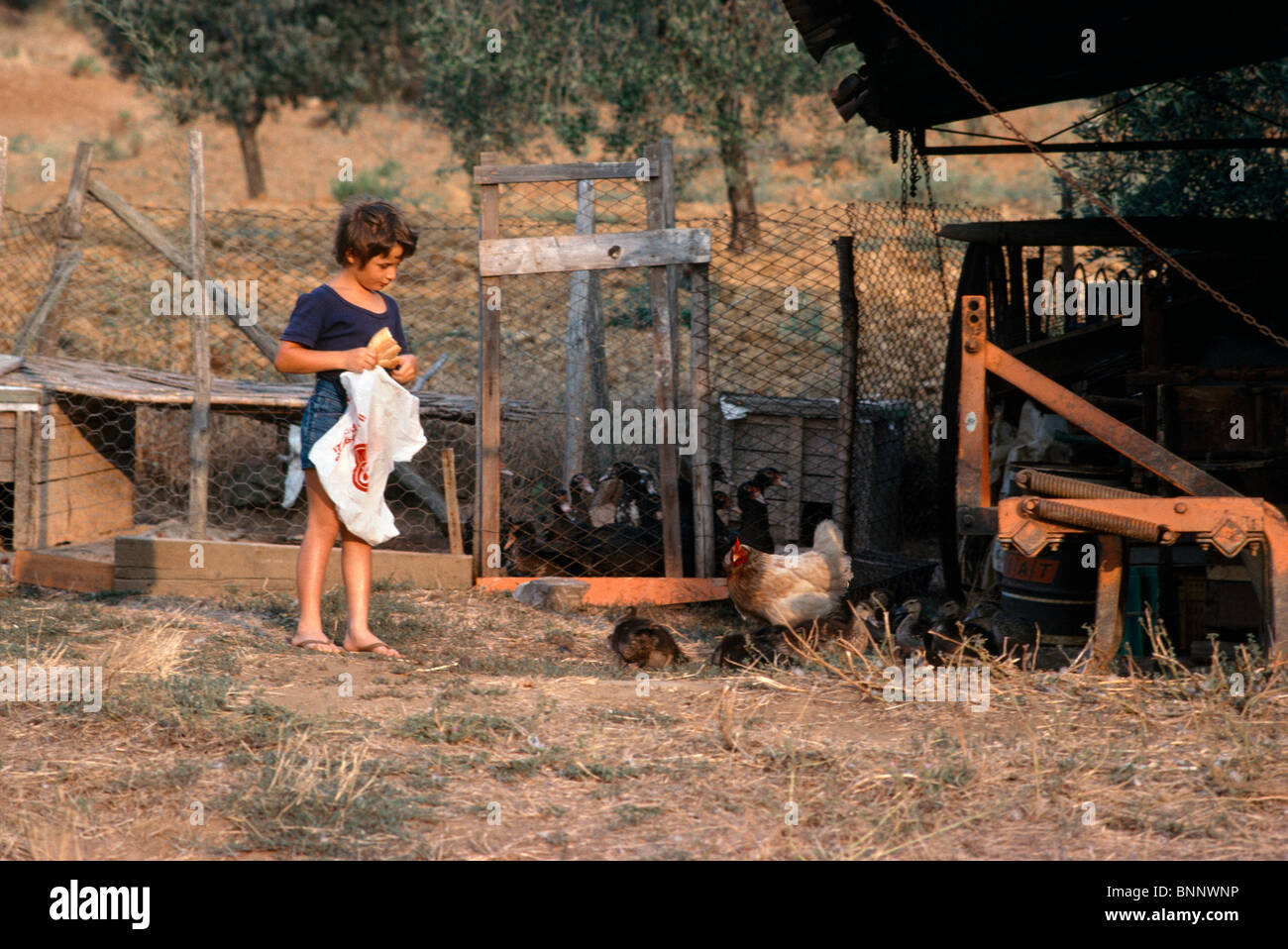 Boy with hens hi-res stock photography and images - Alamy
