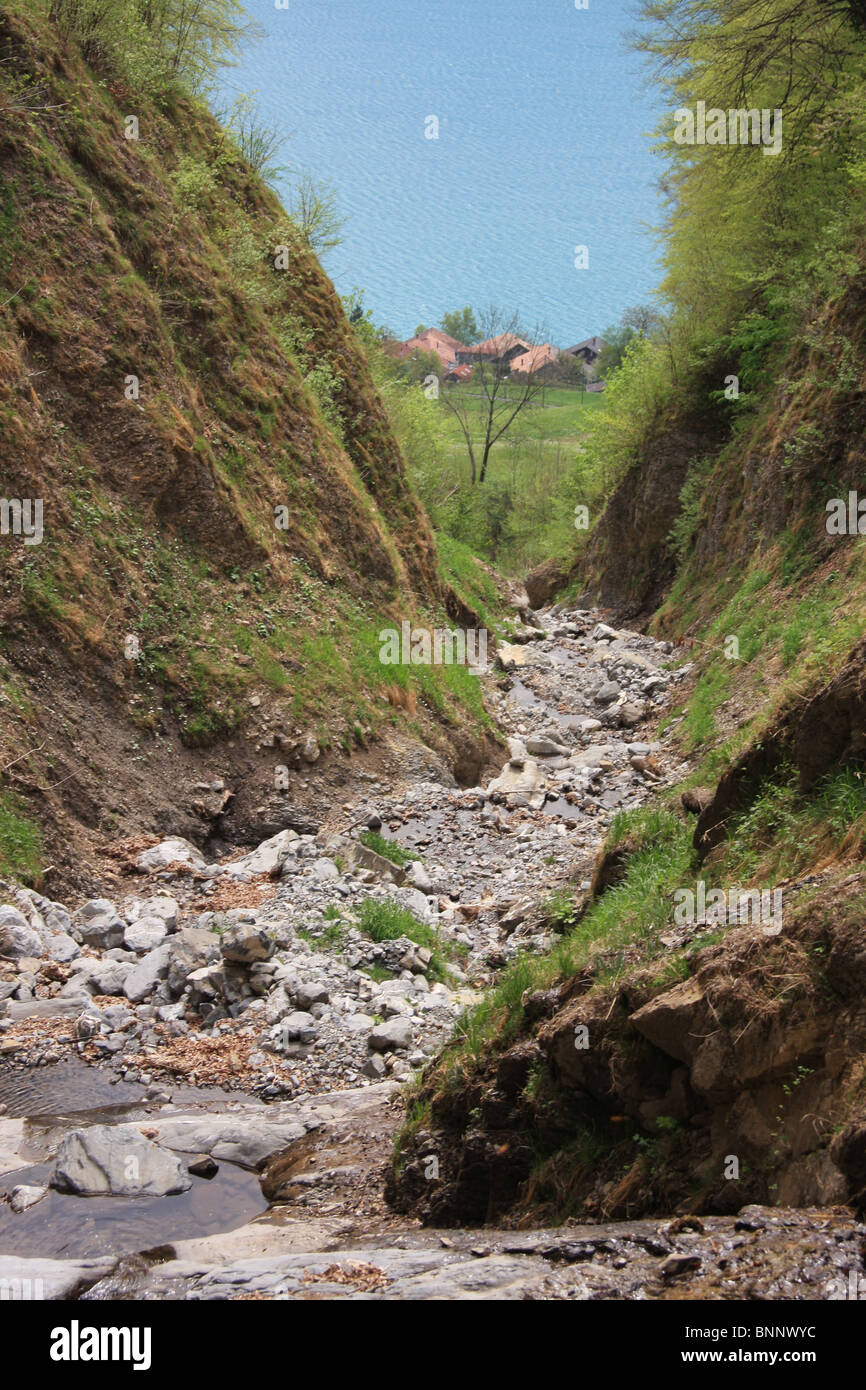 Drily hi-res stock photography and images - Alamy