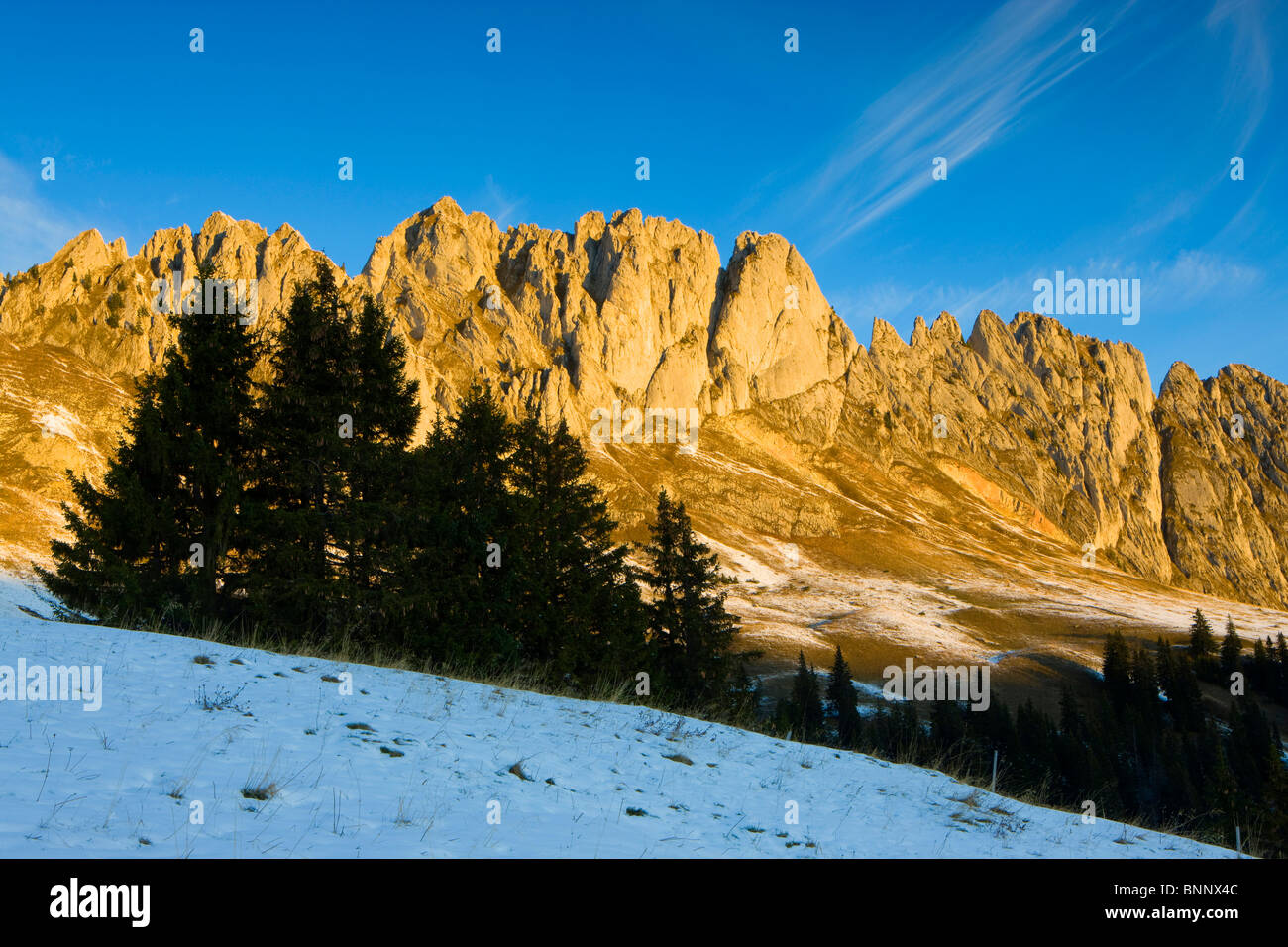 Gastlosen Switzerland canton Freiburg mountains firs snow late autumn ...