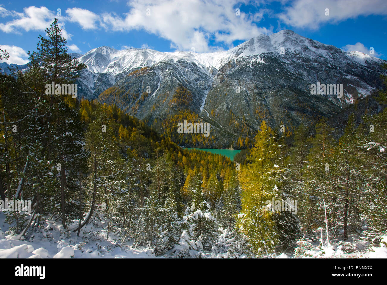 National park Switzerland canton Graubünden Grisons wood forest larches ...