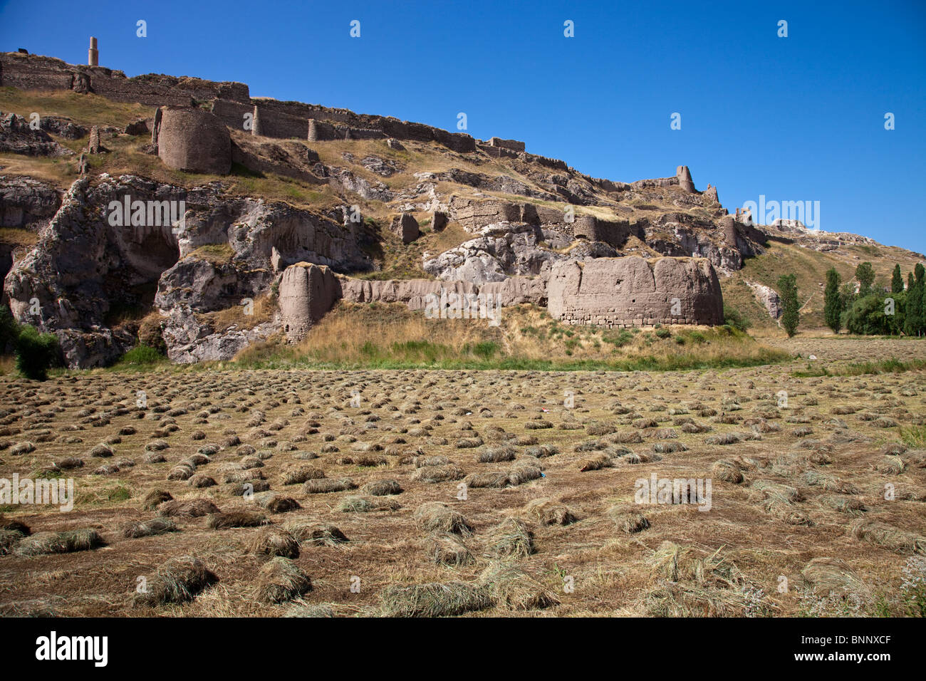 Van Castle, Van, Turkey Stock Photo - Alamy