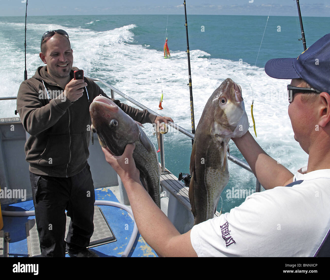 Cod fish hi-res stock photography and images - Alamy