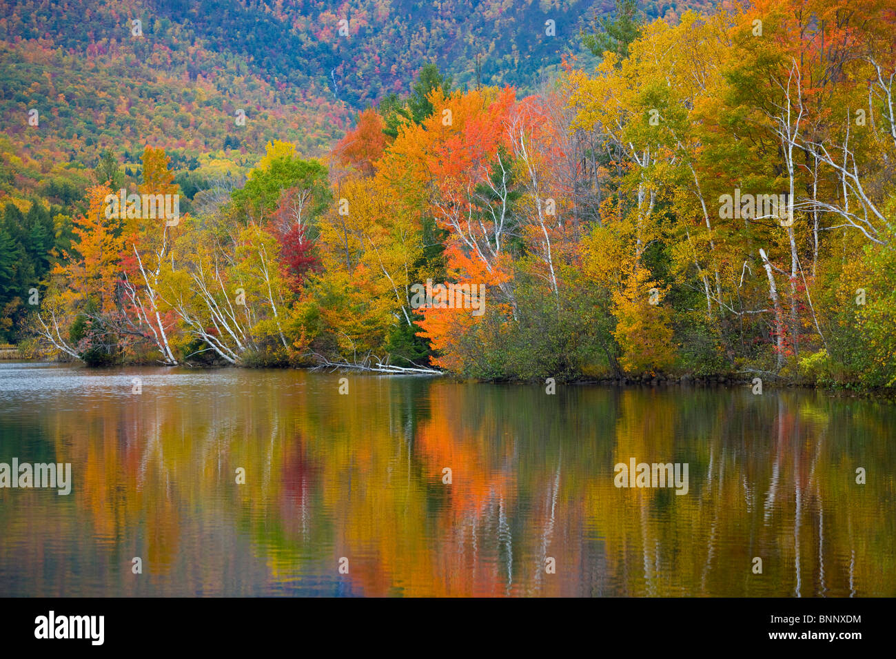 Androscoggin River USA America Glen Ellis Falls United States New ...
