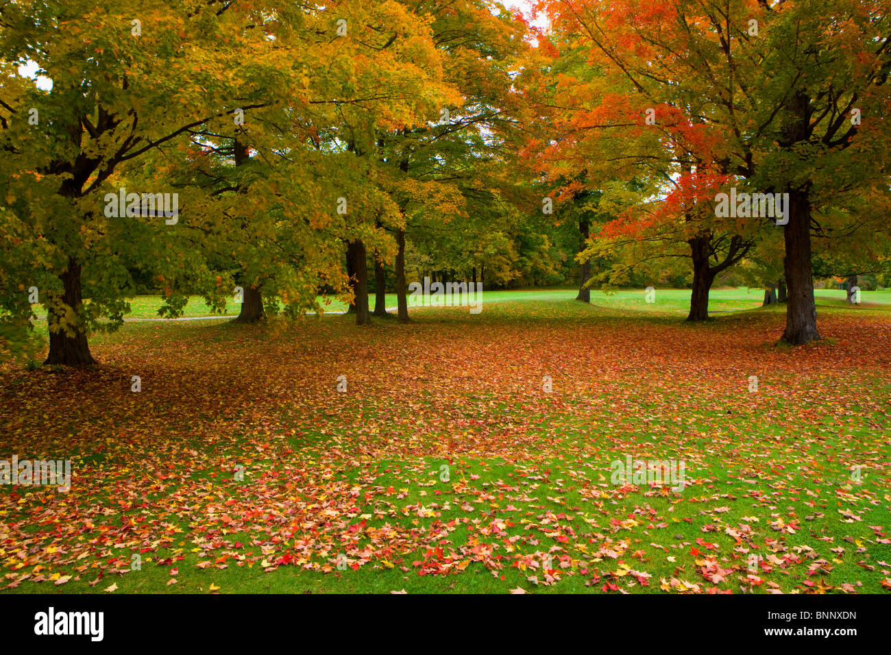 Androscoggin valley hi-res stock photography and images - Alamy