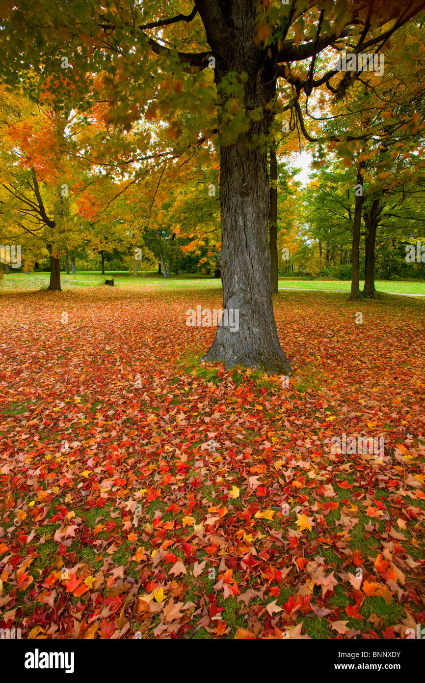 Androscoggin Valley USA America Glen Ellis Falls United States New ...