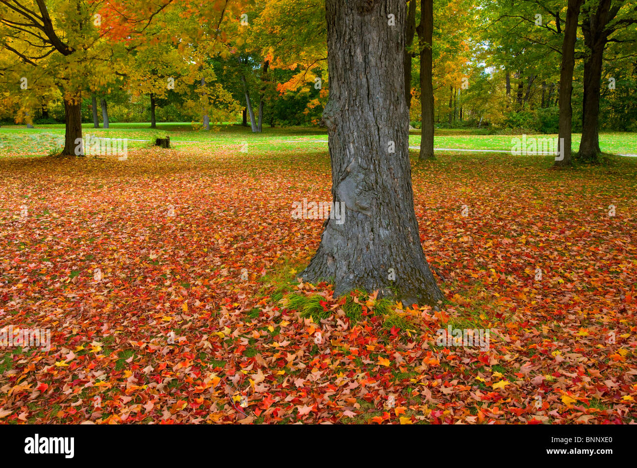 Androscoggin hi-res stock photography and images - Alamy