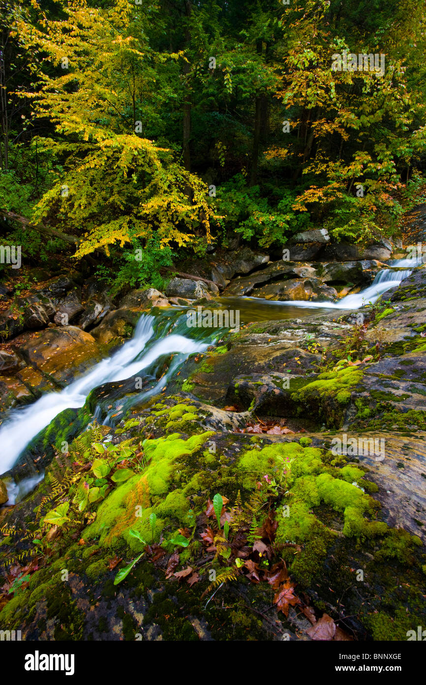 Kent Falls USA America Glen Ellis Falls United States Connecticut brook ...