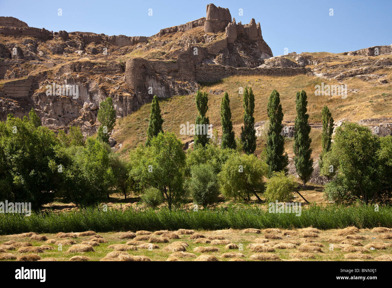 Van Castle, Van, Turkey Stock Photo - Alamy