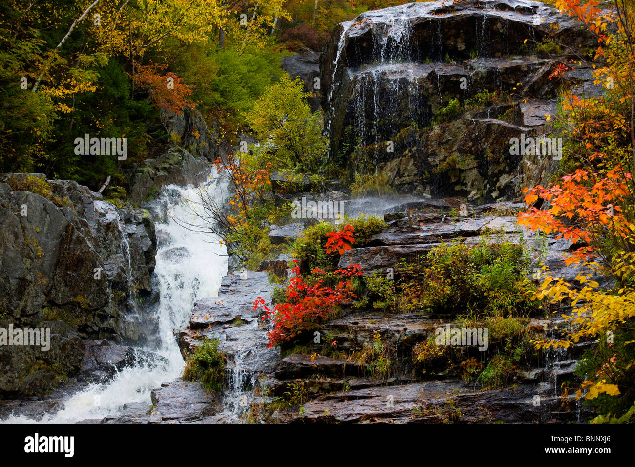 Silver Cascade USA America Glen Ellis Falls United States New Hampshire ...