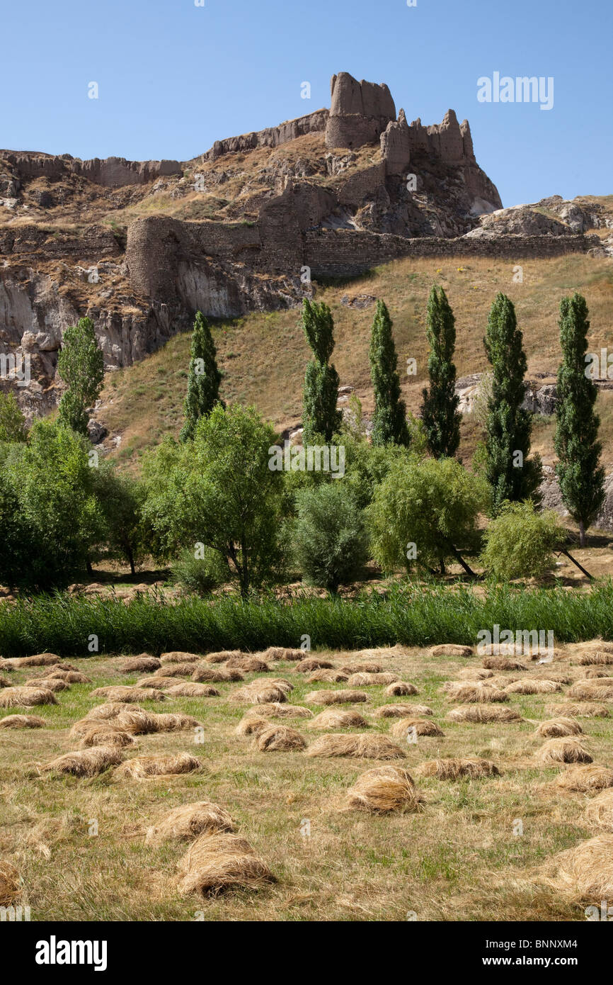 Van Castle, Van, Turkey Stock Photo - Alamy
