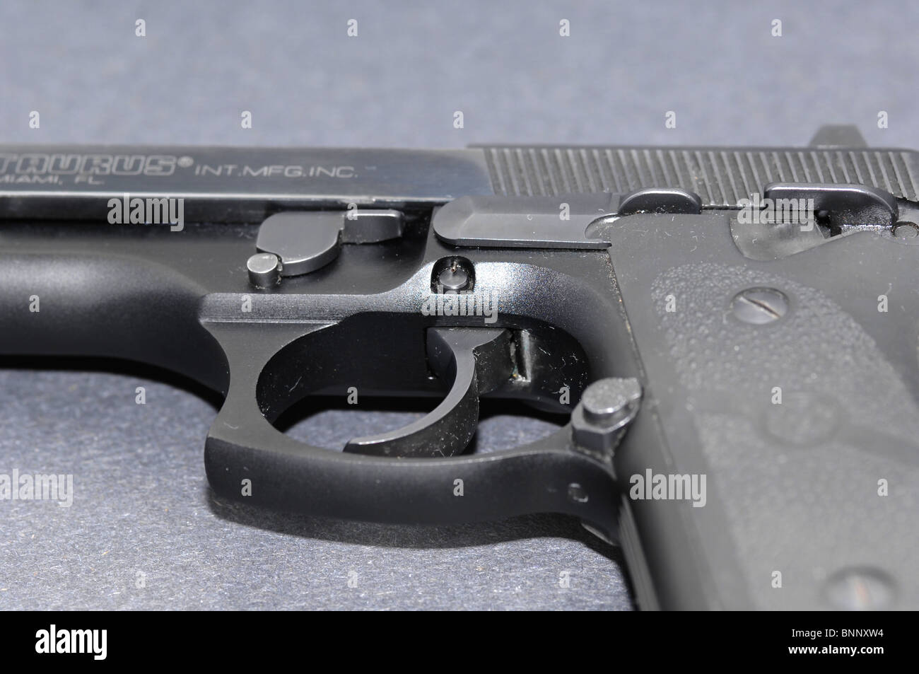 Firearms Safety Button In