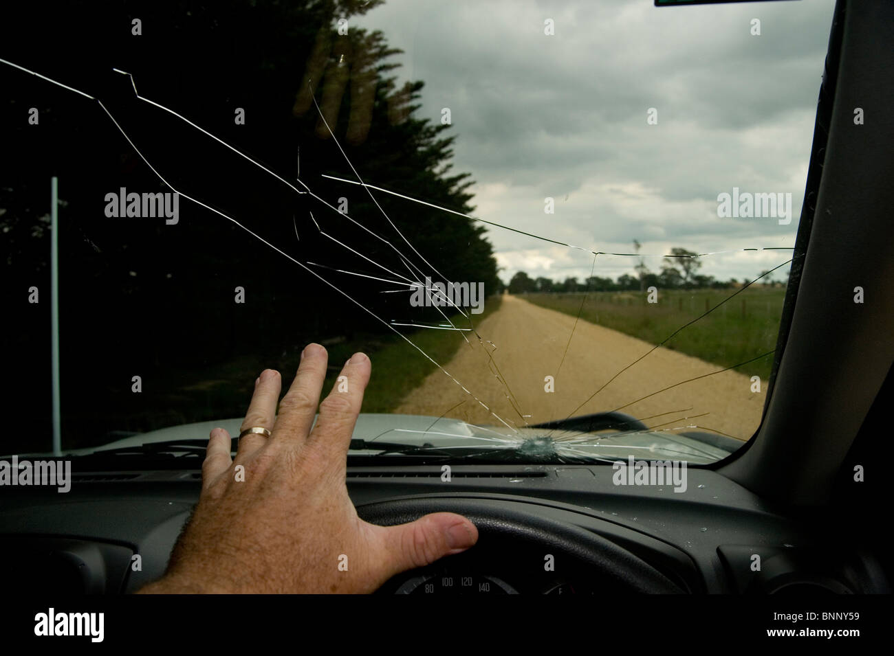 Peach Os On Windshield