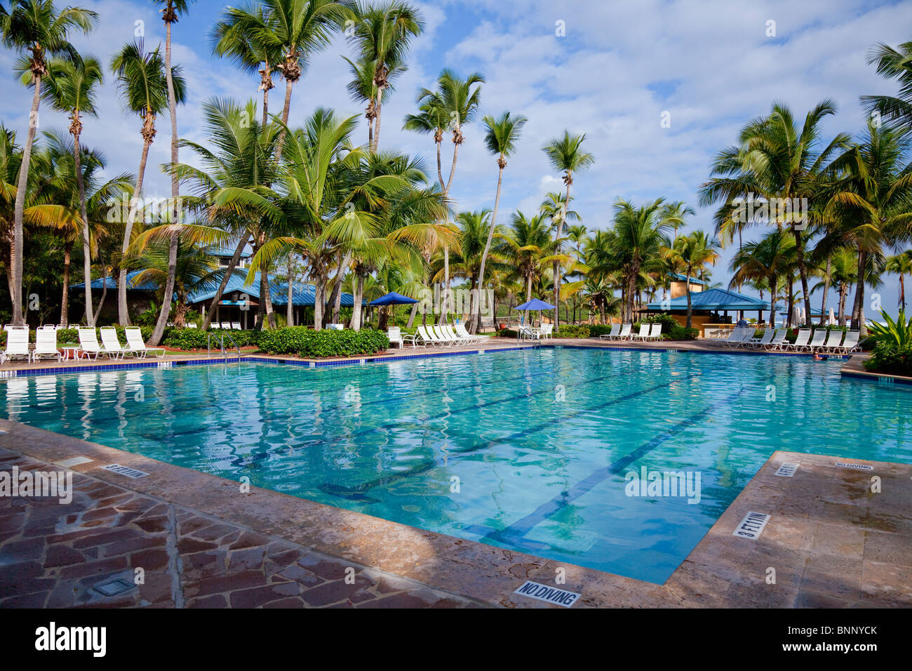 The swimming pool area of the Hyatt Dorado resort near San Juan, Puerto ...